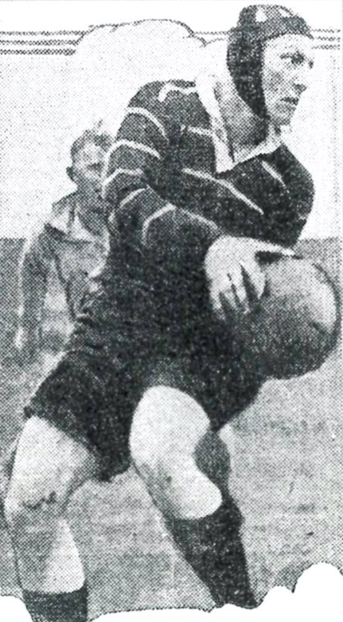 Dave Brown Gallery | Roosters