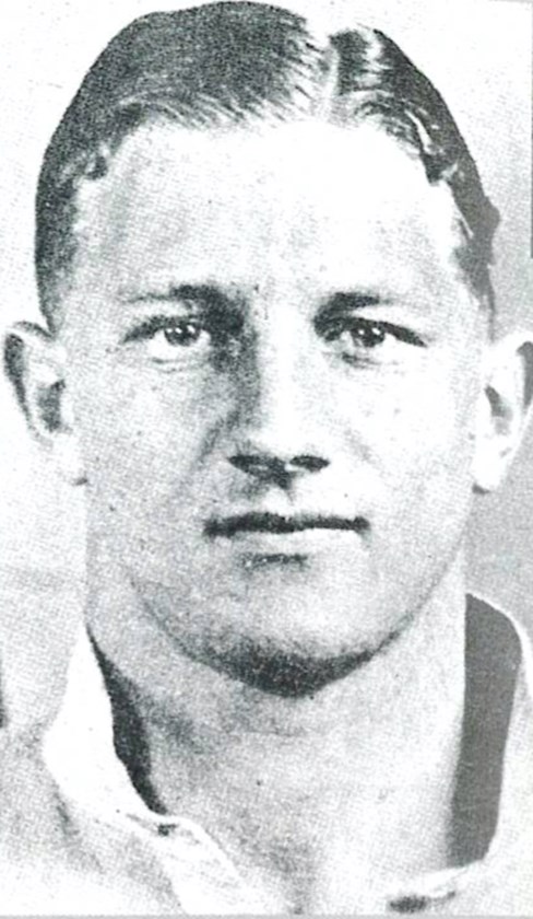 Dave Brown Gallery | Roosters