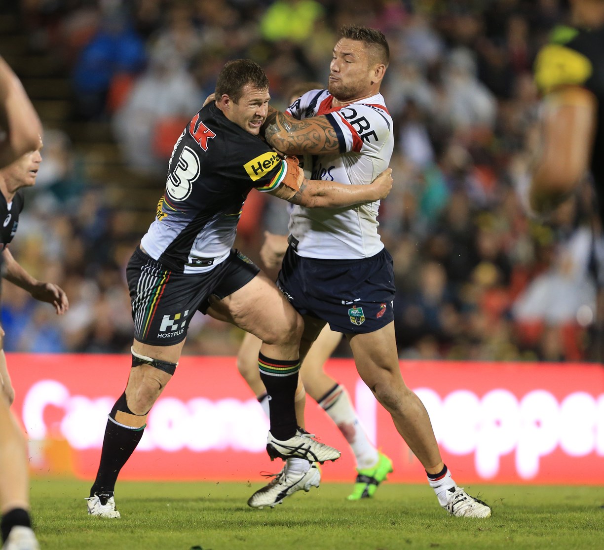 The Ultimate JWH Gallery | Roosters