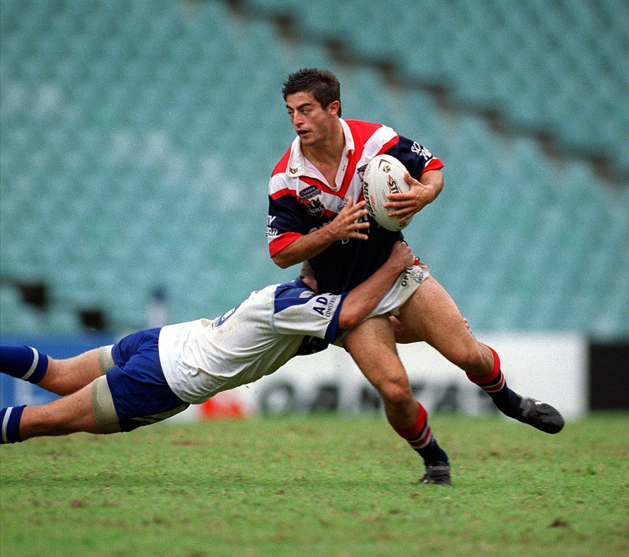 Anthony Minichiello Gallery - Roosters