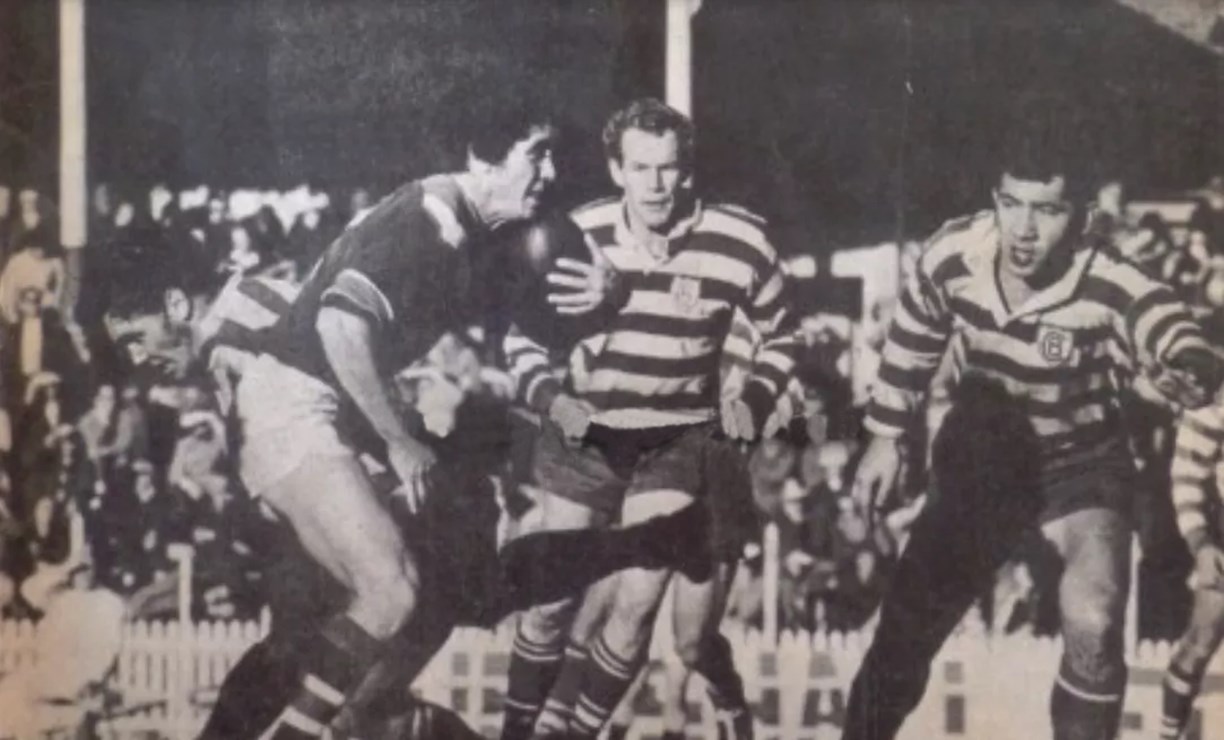 Indigenous Roosters Gallery | Roosters