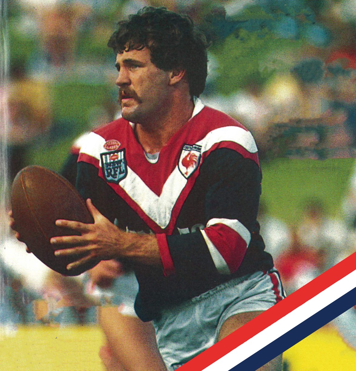 Kevin Hastings Gallery | Roosters