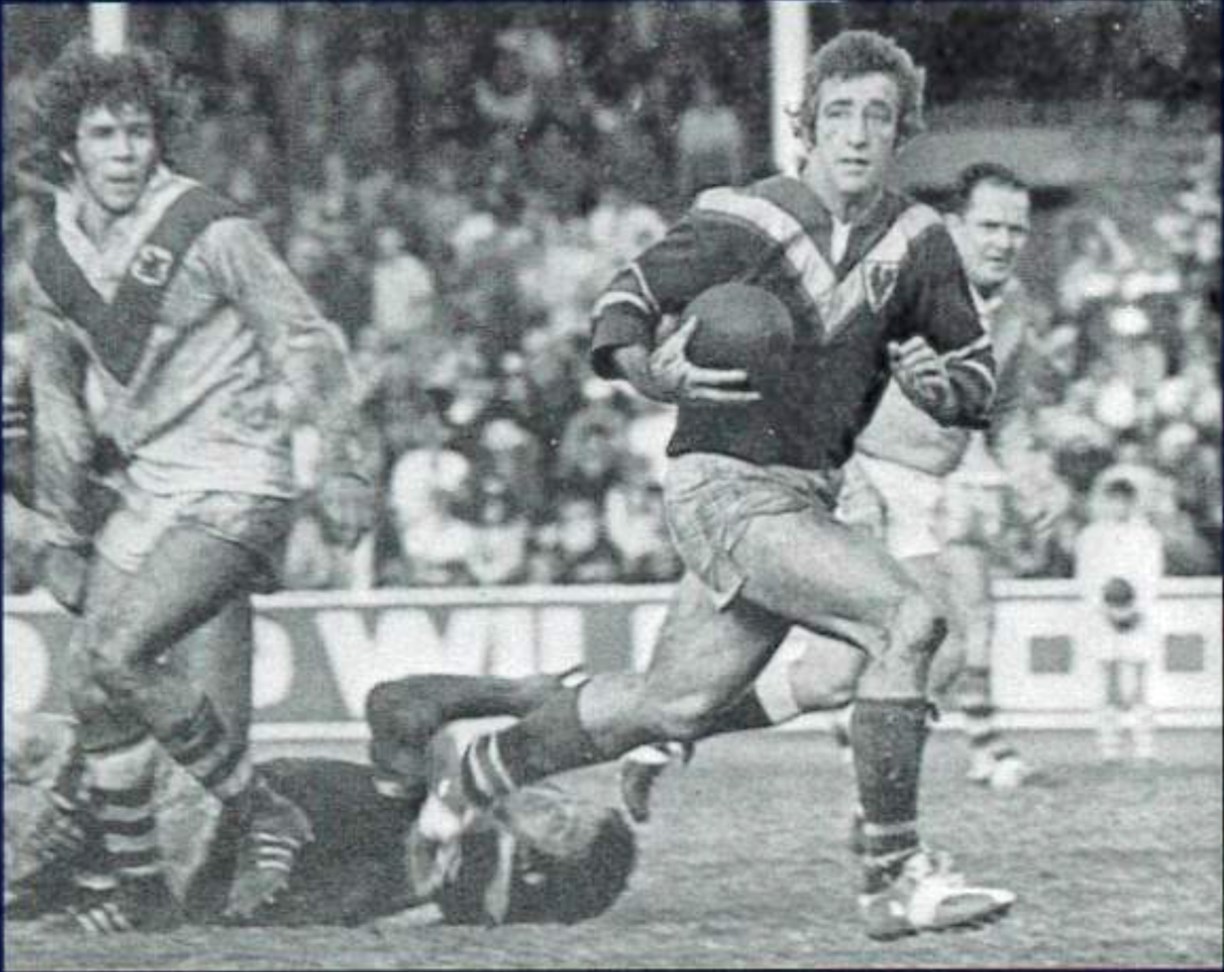 Barry Reilly Gallery | Roosters