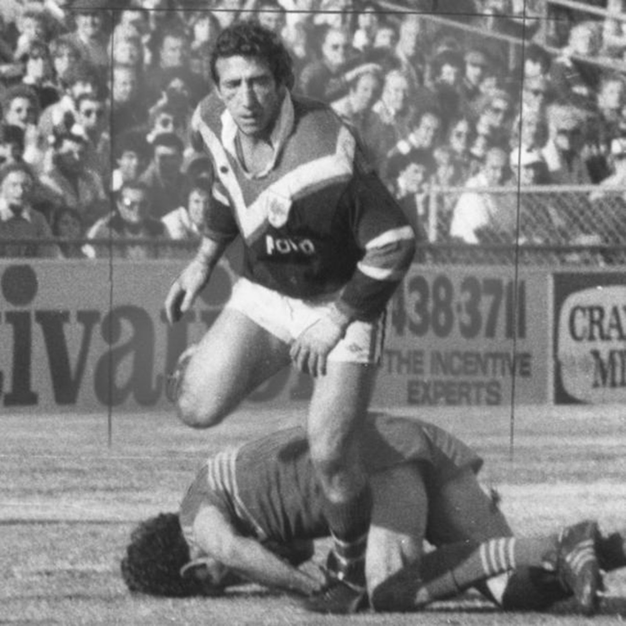 Barry Reilly Gallery | Roosters