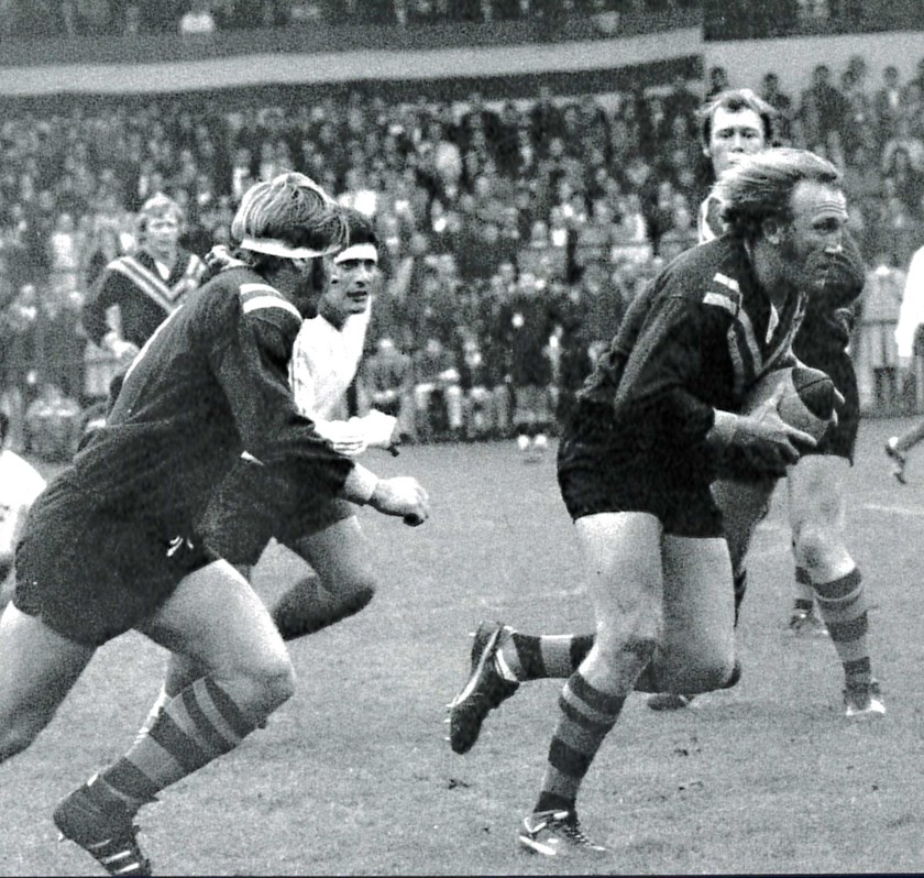 Mark Harris Gallery | Roosters