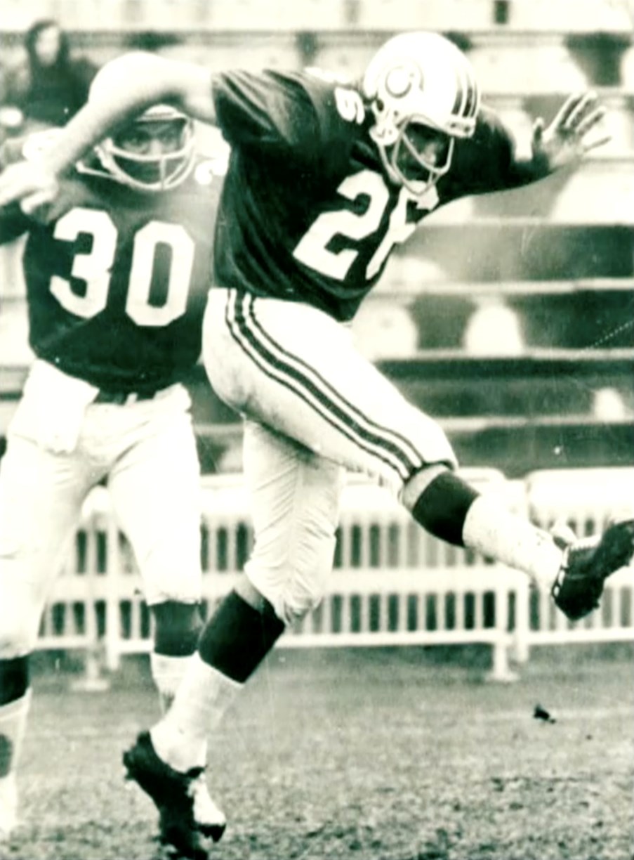 Mark Harris Gallery | Roosters