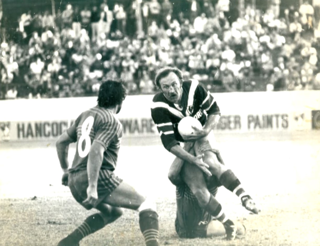 Mark Harris Gallery | Roosters