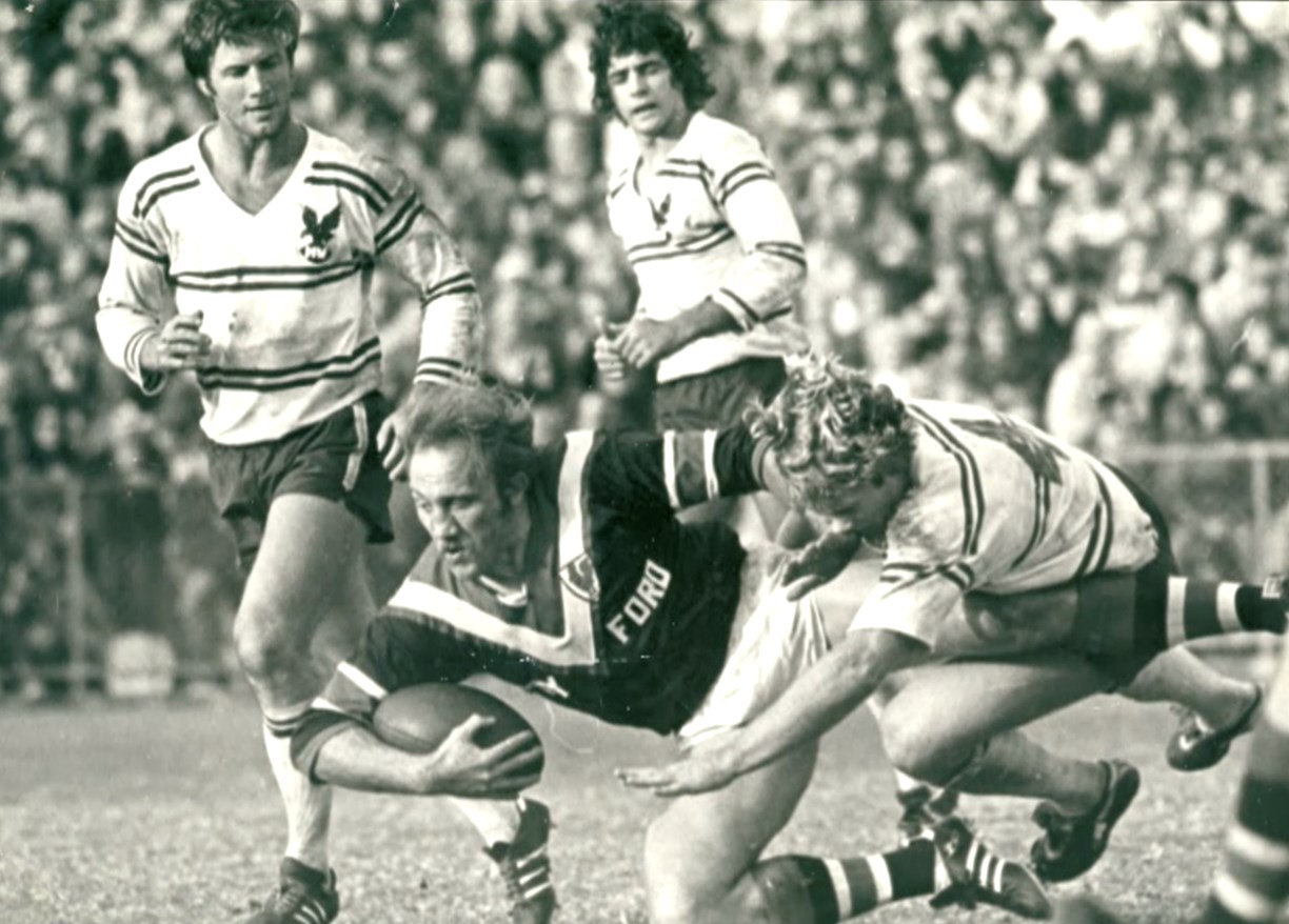 Mark Harris Gallery | Roosters