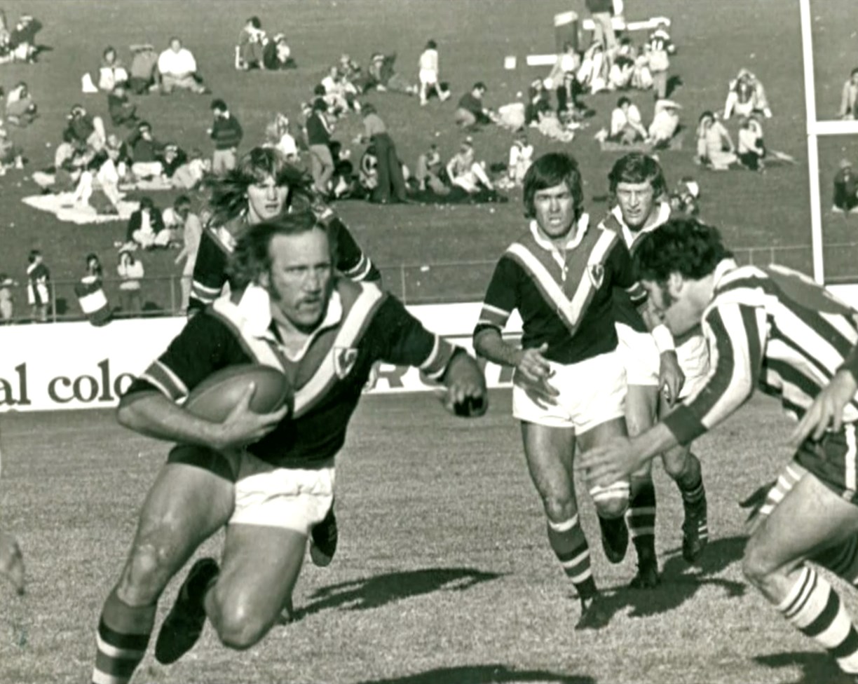 Mark Harris Gallery | Roosters