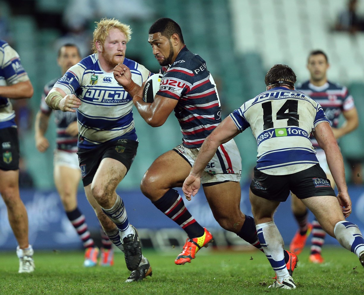 Isaac Liu Gallery | Roosters