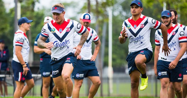 Training Gallery | Preparation | Roosters