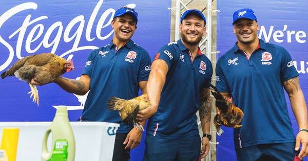 Roosters On Show | Roosters