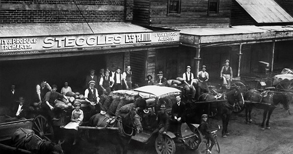 Steggles Celebrate 100 Year Milestone | Roosters