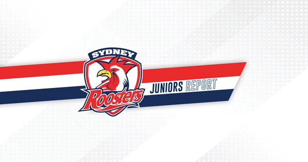 Juniors Report Round 3: Roosters Dominate Across The Grades | Roosters